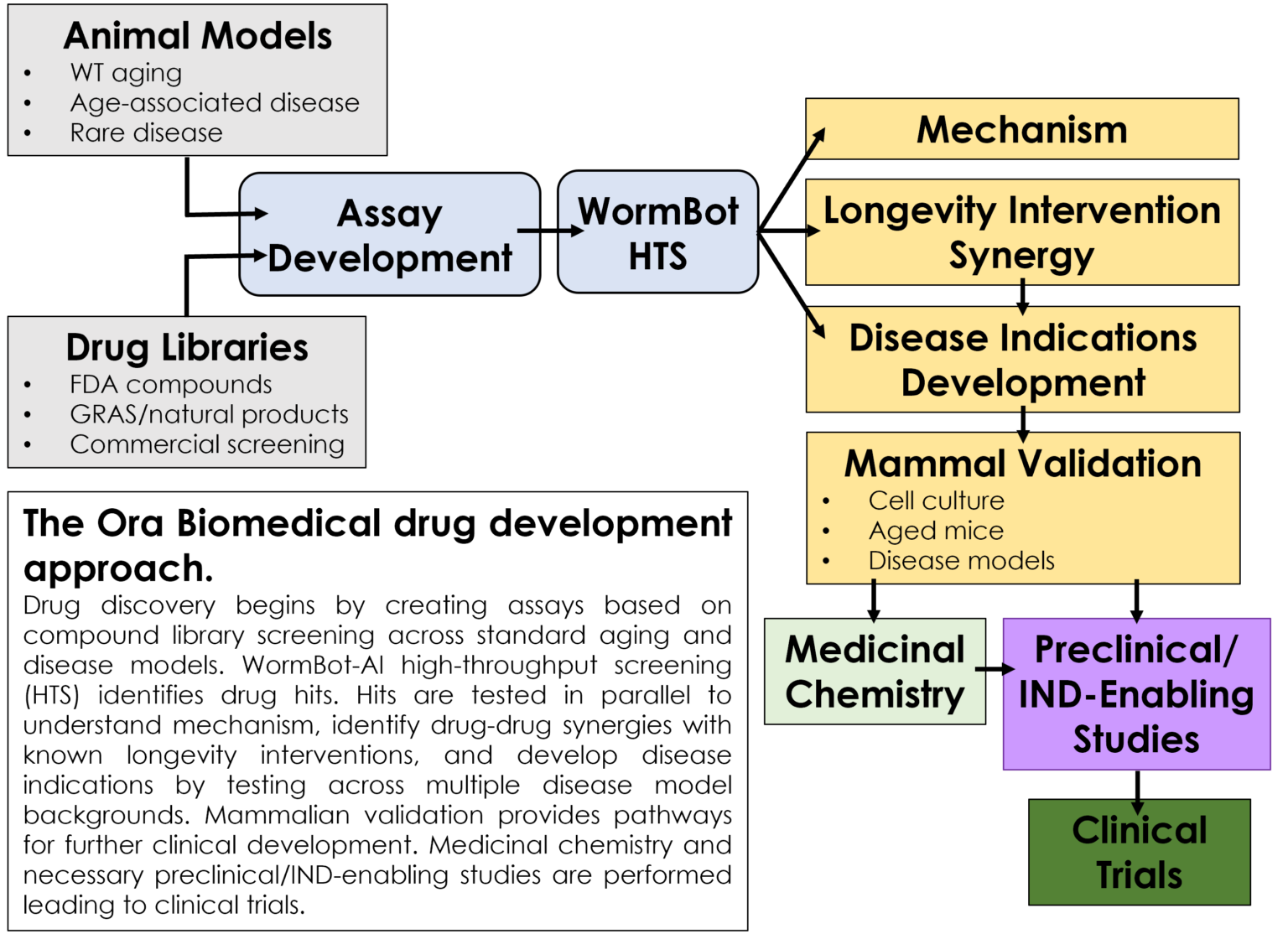 Company – Ora Biomedical, Inc.
