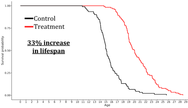 Million Molecule Challenge Results and Leaderboard – Ora Biomedical, Inc.
